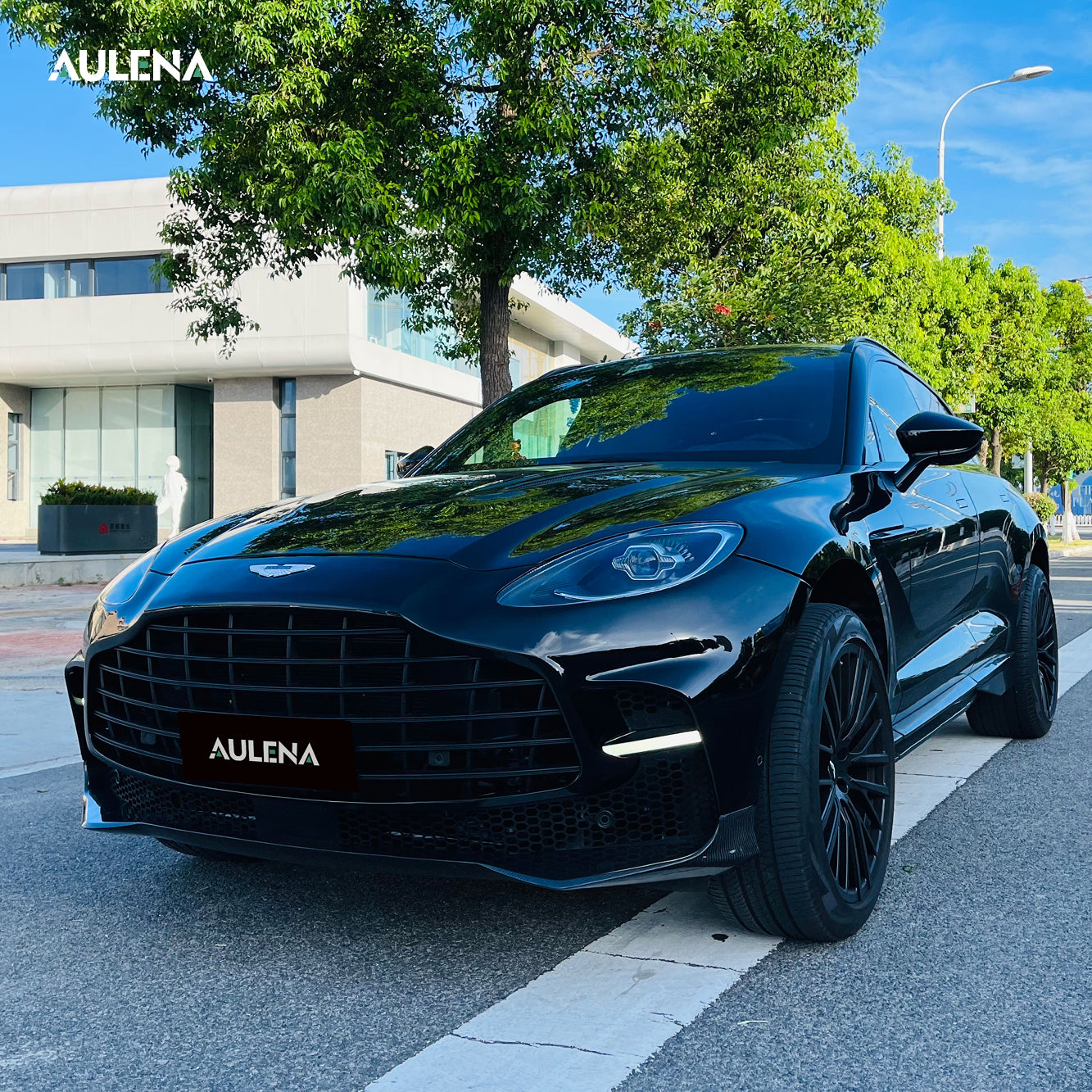 Aston Martin DBX -707 Aulena Design dry carbon performance body kit