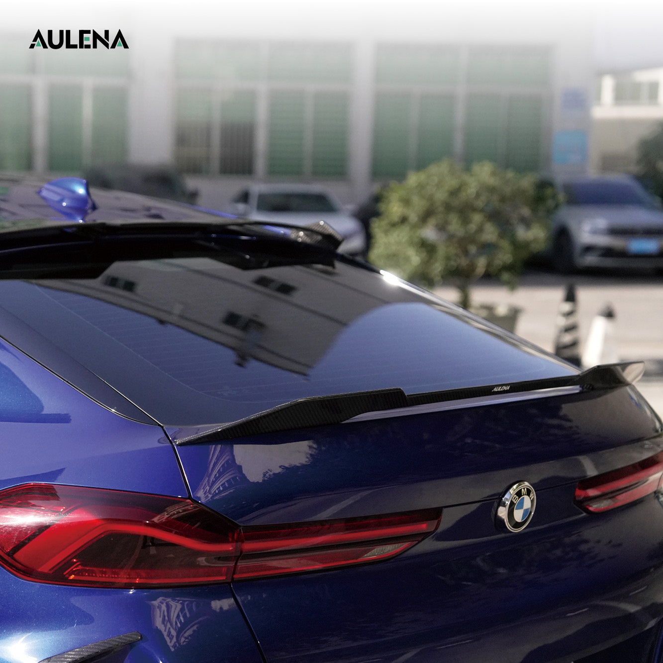 BMW X6M Aulena Design dry carbon performance Rear Wing